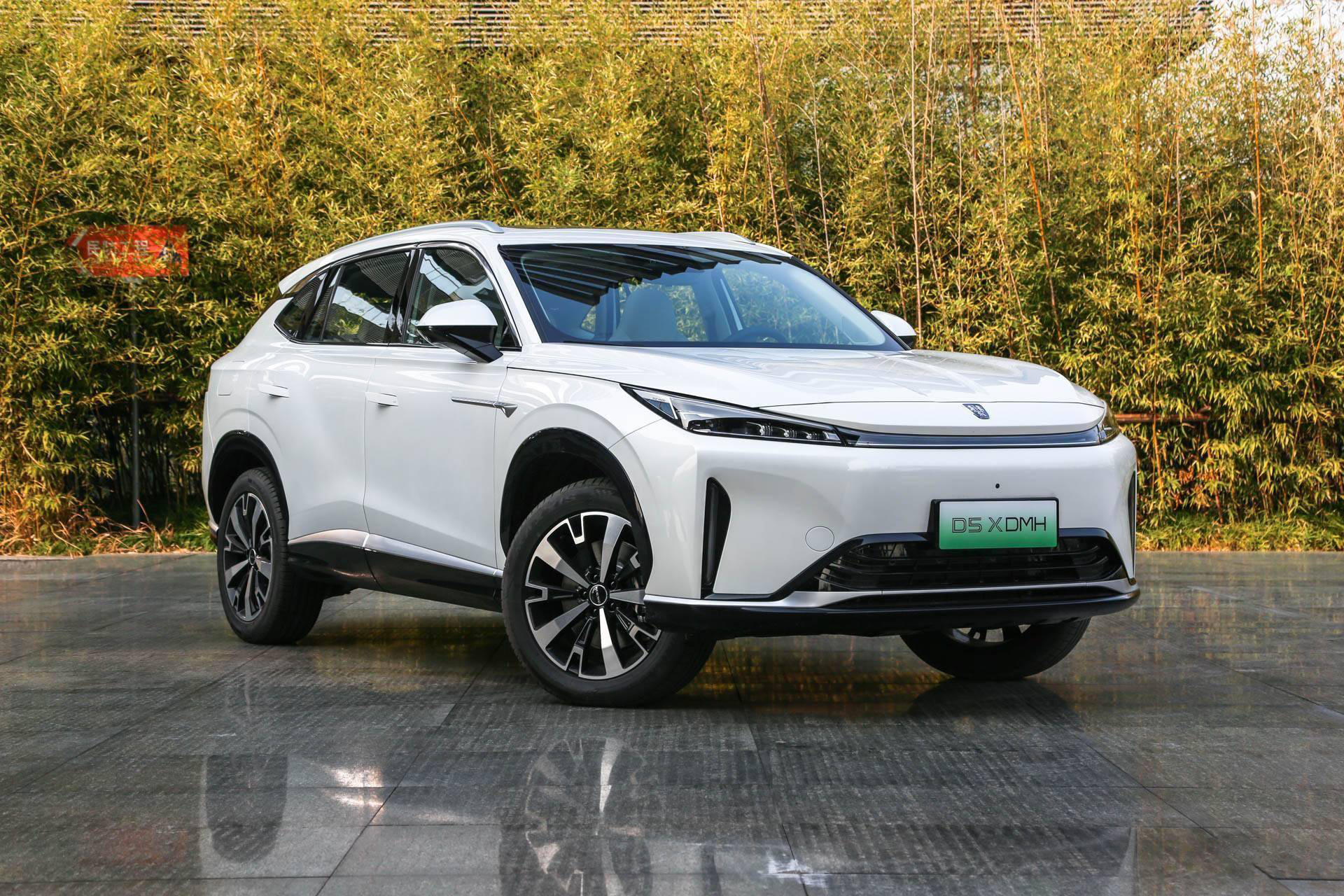 家庭出行新选择？ 动态体验荣威 D5X DMH