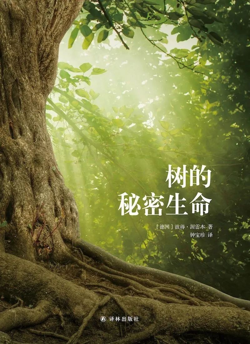 全球Top大学的教授们，都在读什么书？