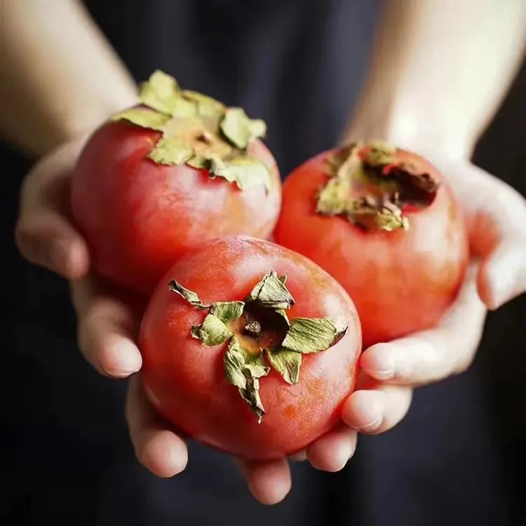 治愈萧瑟秋天，一定要有甜心软柿子
