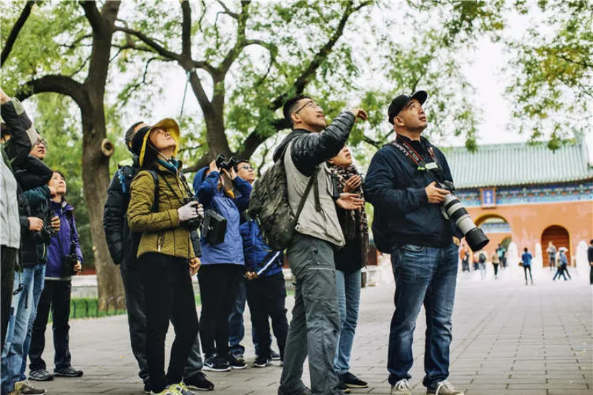 为什么年轻人开始流行“打鸟”了？